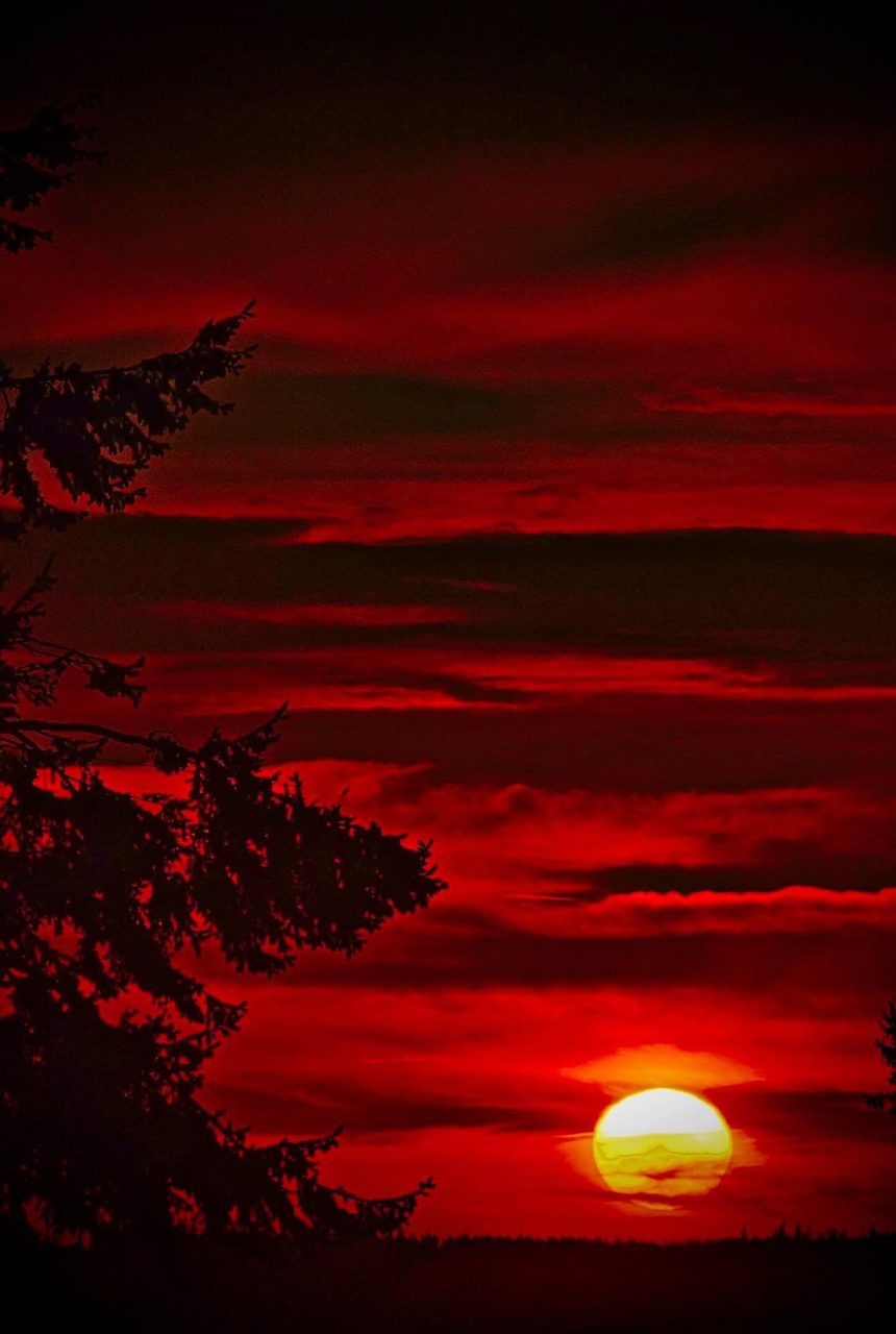 Sunset of the week 12-28-20 | Westside Seattle